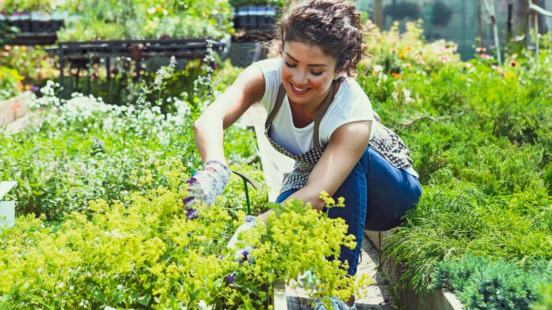 Gardening Success Kit - Garden Center