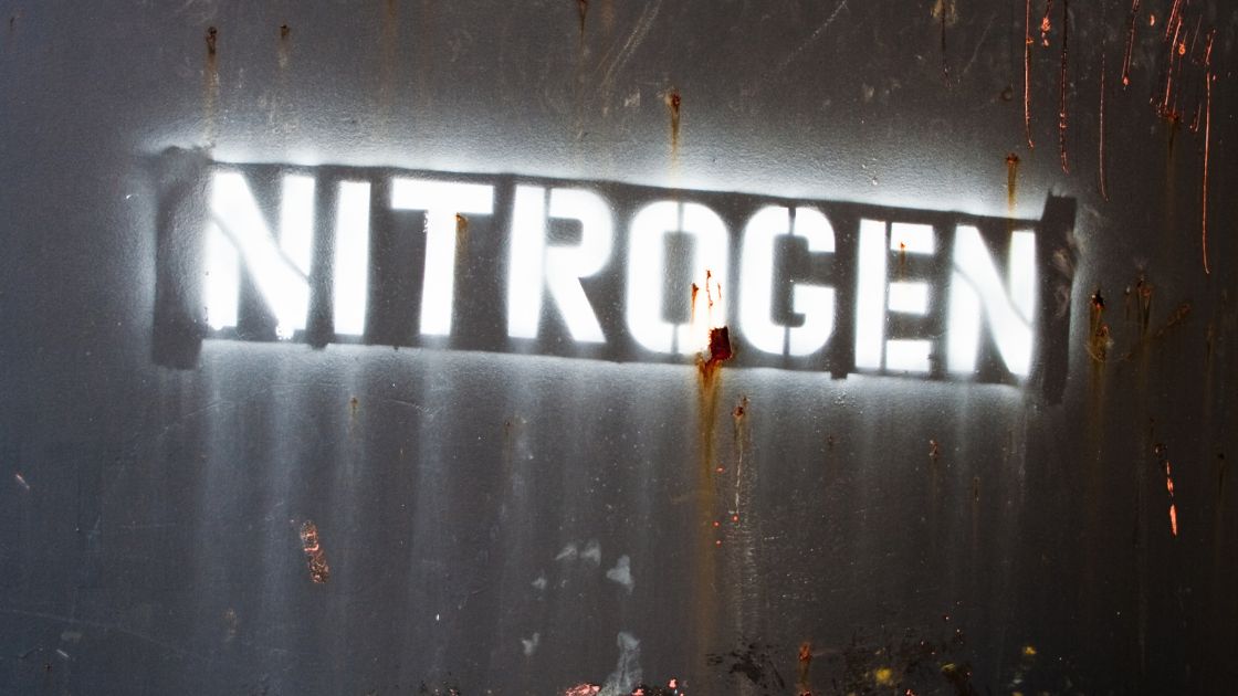 Nitrogen Cycle Basics for Pond Owners