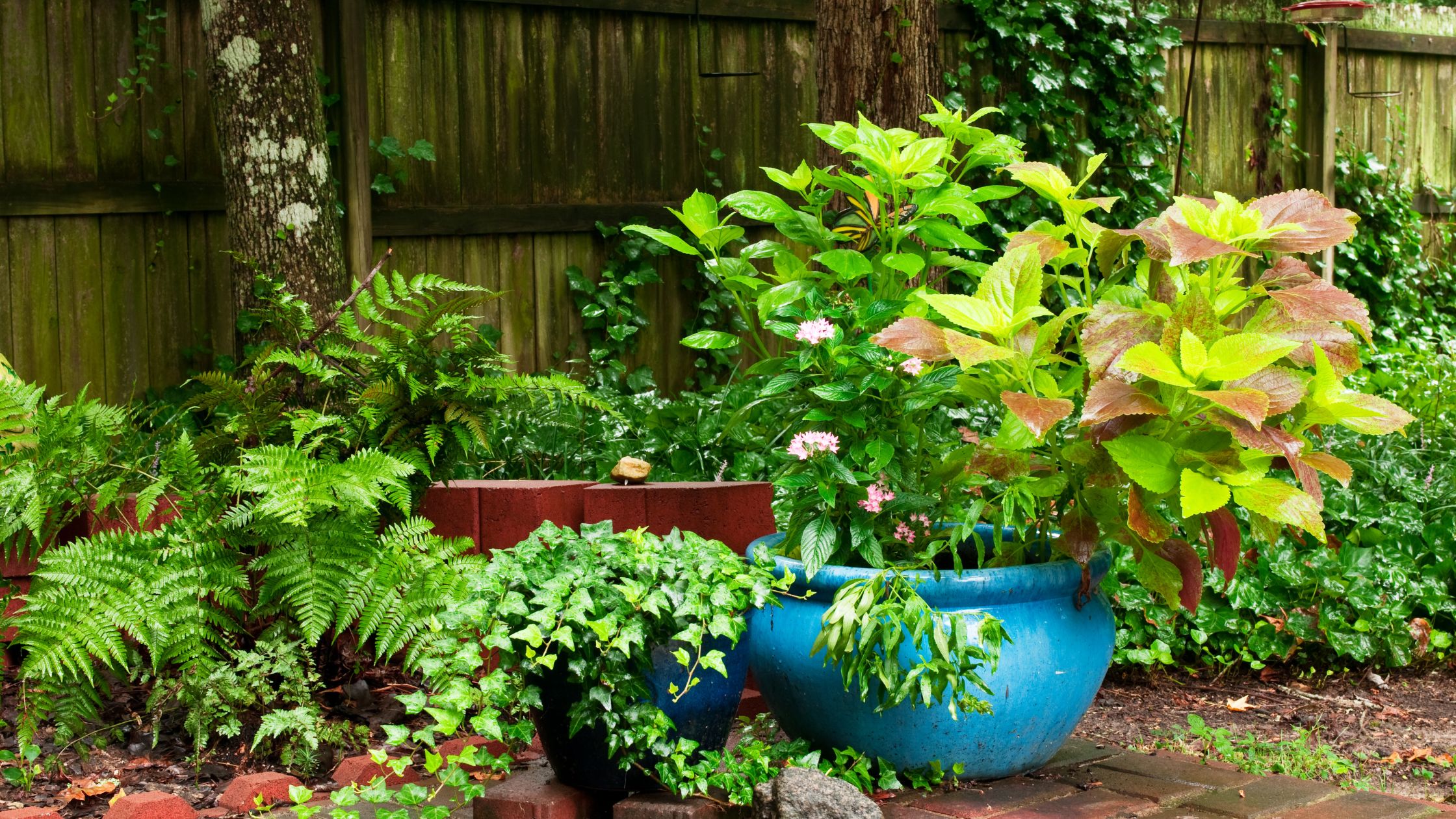 Fall Planter Arrangements for Northeast Florida