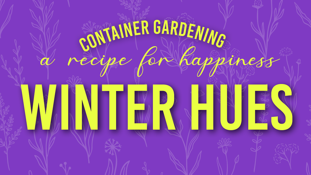 December Container Gardening Recipe 2022 - Garden Center