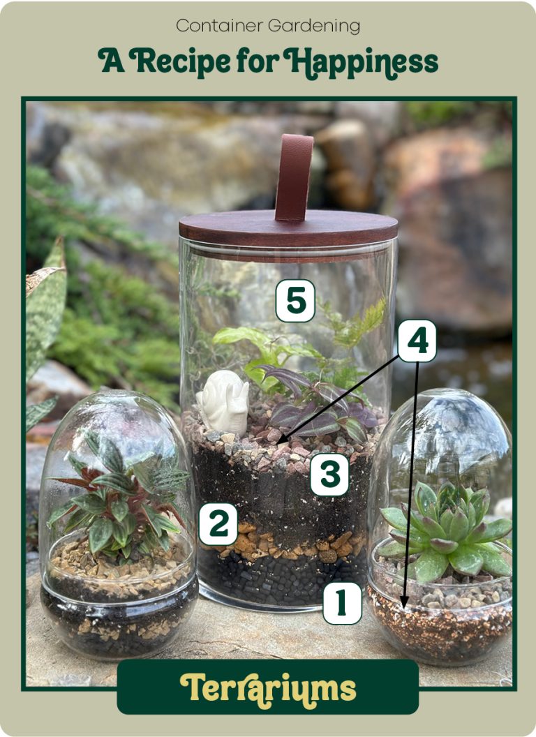 Container Garden Recipes Archives - Garden Center