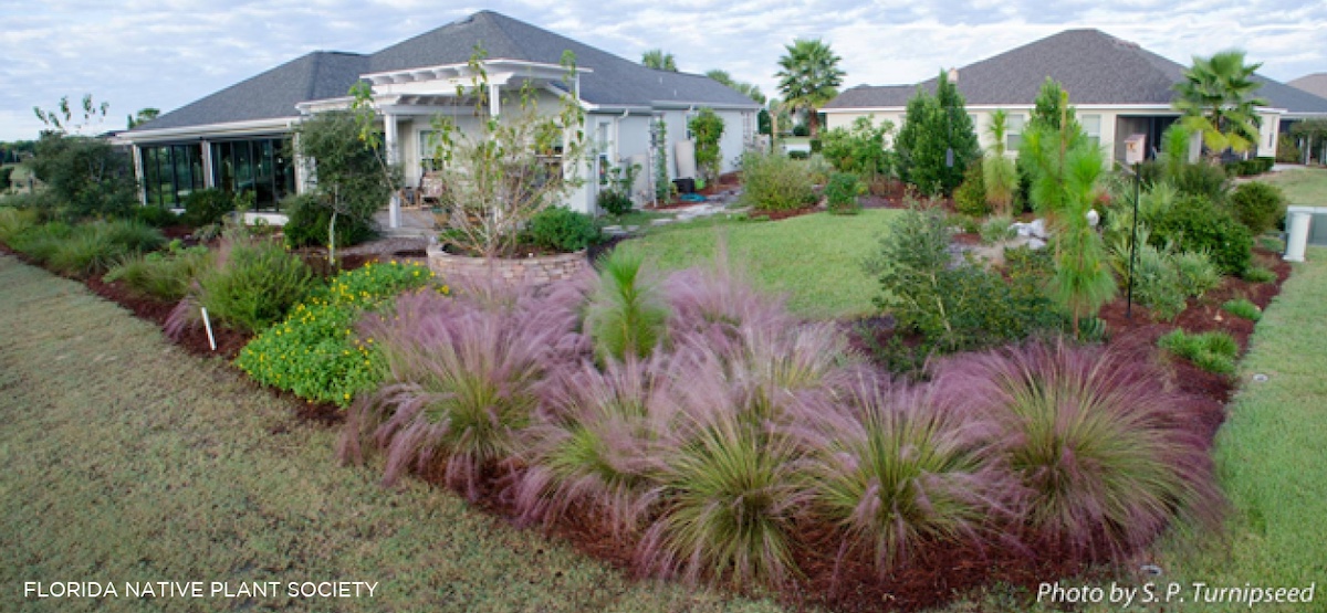 The Native Garden Guide For Northeast Florida Landscape